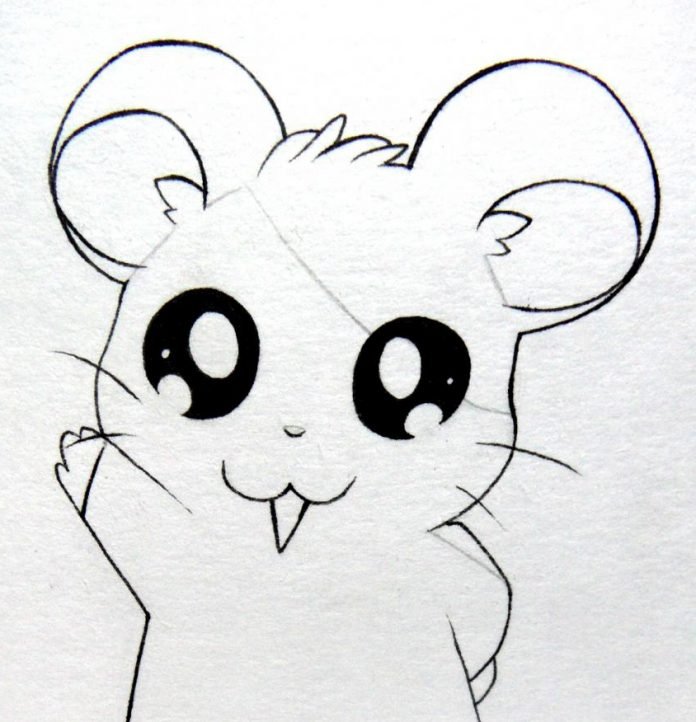 20 Cute and Easy Cartoon Hamster Drawing Ideas - Chibi and Kawaii