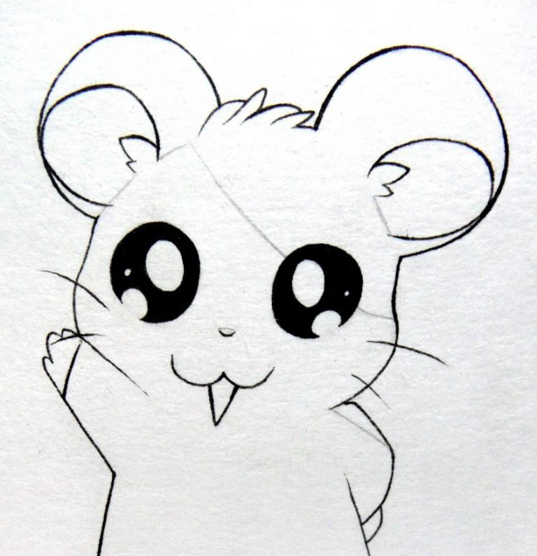 20 Cute and Easy Cartoon Hamster Drawing Ideas - Chibi and Kawaii