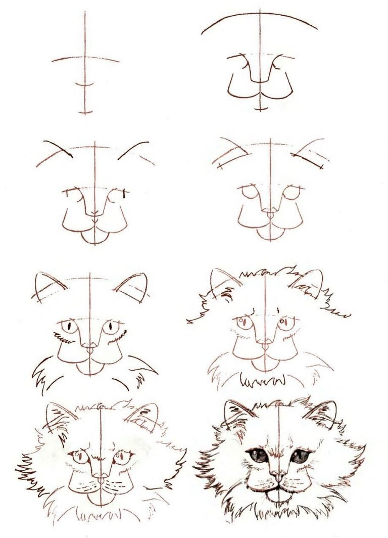 Easy Cat Sketch Dopzombie