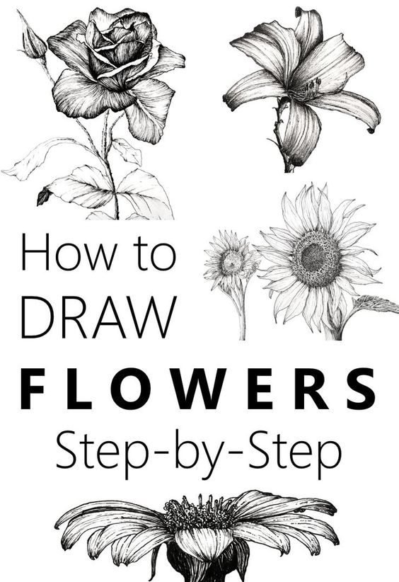 10 Realistic Flower Drawings Step By Step Easy Drawing Tutorials 10 Realistic Flower Drawings Step By Step Easy Drawing Tutorials