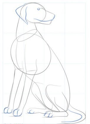 20 Easy Dog Drawings Step By Step - Do It Before Me