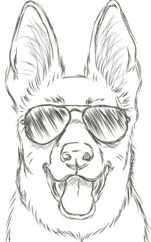 20 Easy Dog Drawings Step By Step Do It Before Me 20 Easy Dog Drawings Step By Step Do It Before Me