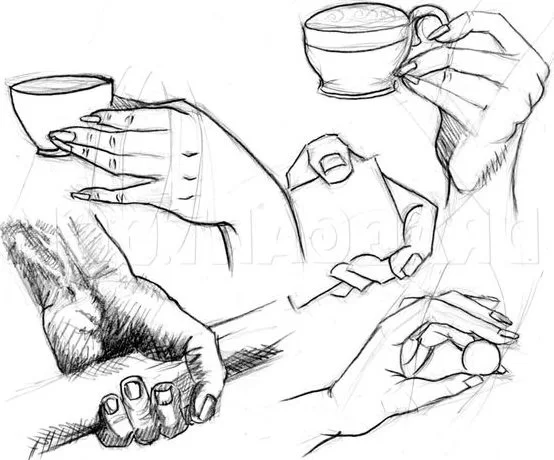 20 Drawing Hand Step By Easy – How To Draw Hand | Do It Before Me