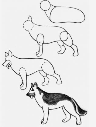 20 Easy Dog Drawings Step By Step - Do It Before Me
